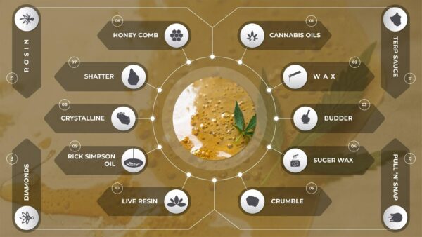 14 Different Types Of Wax Dabs - A Comprehensive Guide